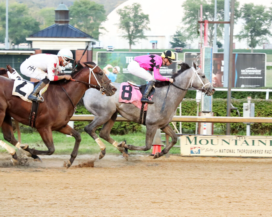 Hit Show Returns For Governor’s Stakes | News, Sports, Jobs - The ...